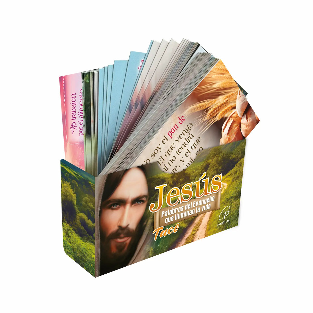 Taco Jesús - Palabras del Evangelio que iluminan la vida – Librería ...